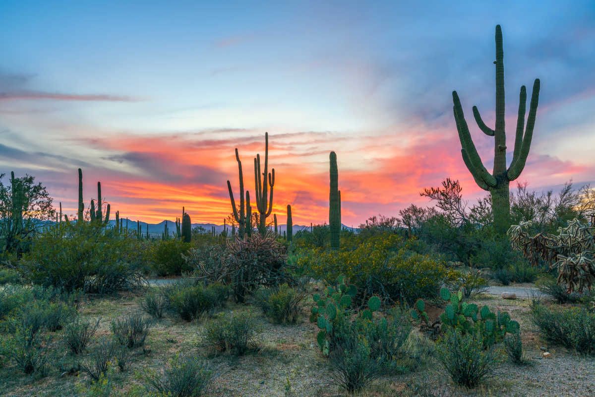 Best Destinations for an Arizona Family Reunion - Groups Are A Trip